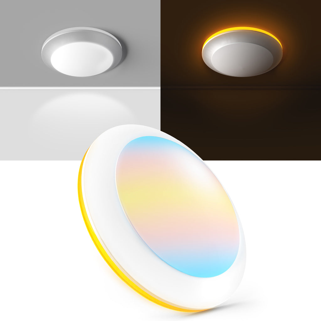 Recessed LED Lighting, 5/6 Inch, Disk Downlight, Night Light, 13W, Sel ...